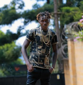 Danger Force Gavana Music, Songs, Videos, Mp3 Downloads and Biography ...