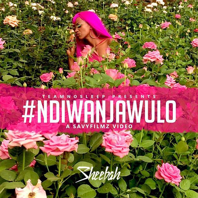 Ndiwanjawulo by Sheebah Karungi - MP3 Download, Audio Download - Howwe.ug Ndiwanjawulo by Sheebah Karungi - MP3 Download, Audio Download - Howwe.ug
